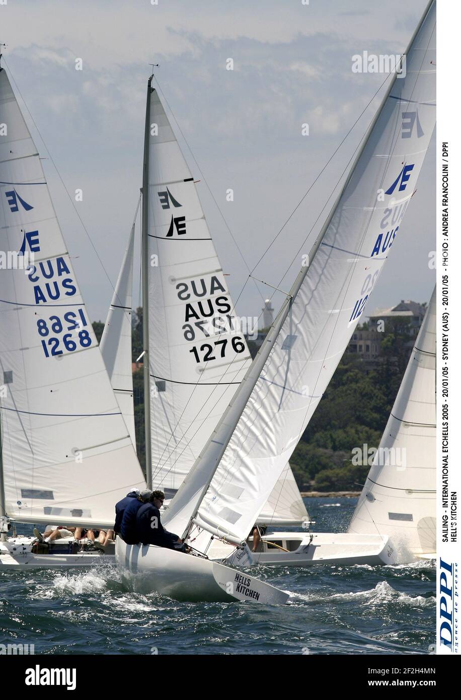 SAILING - INTERNATIONAL ETCHELLS 2005 - 20/01/05 - SYDNEY (AUS) - 20/01 ...