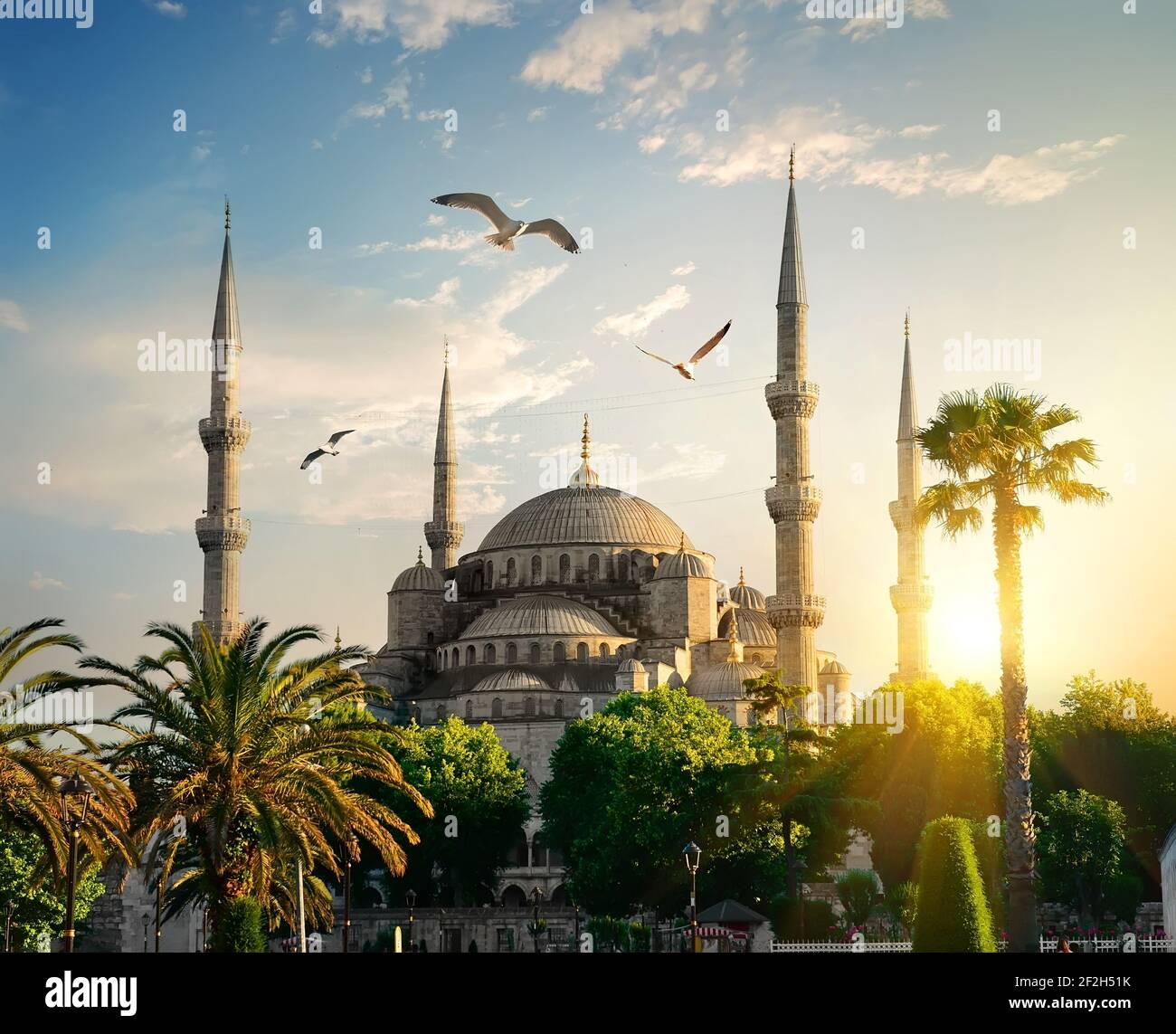 Famous Blue Mosque at sunny summer evening in Istanbul, Turkey Stock ...