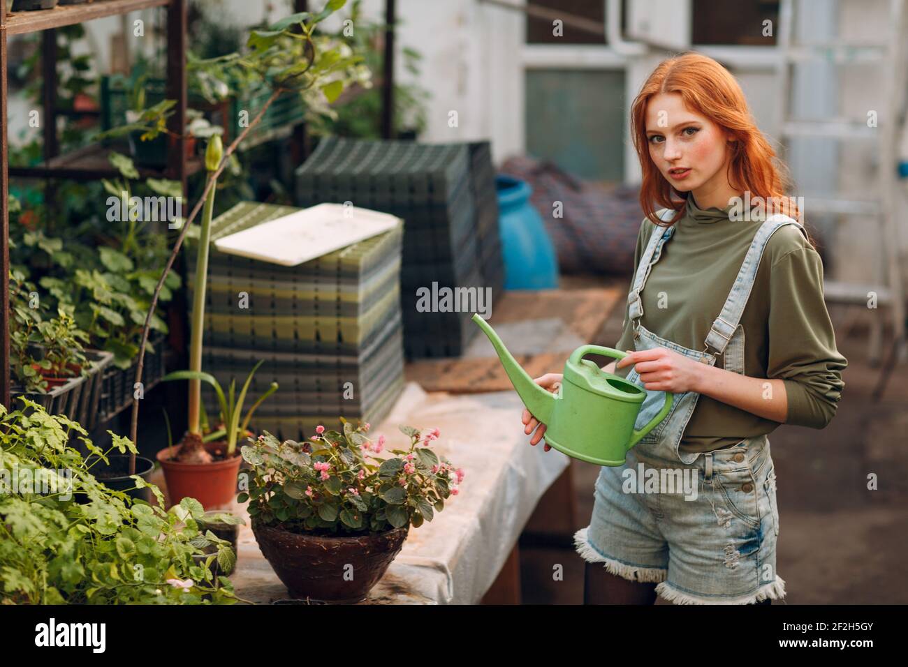 Ginger girl at home hi-res stock photography and images - Alamy