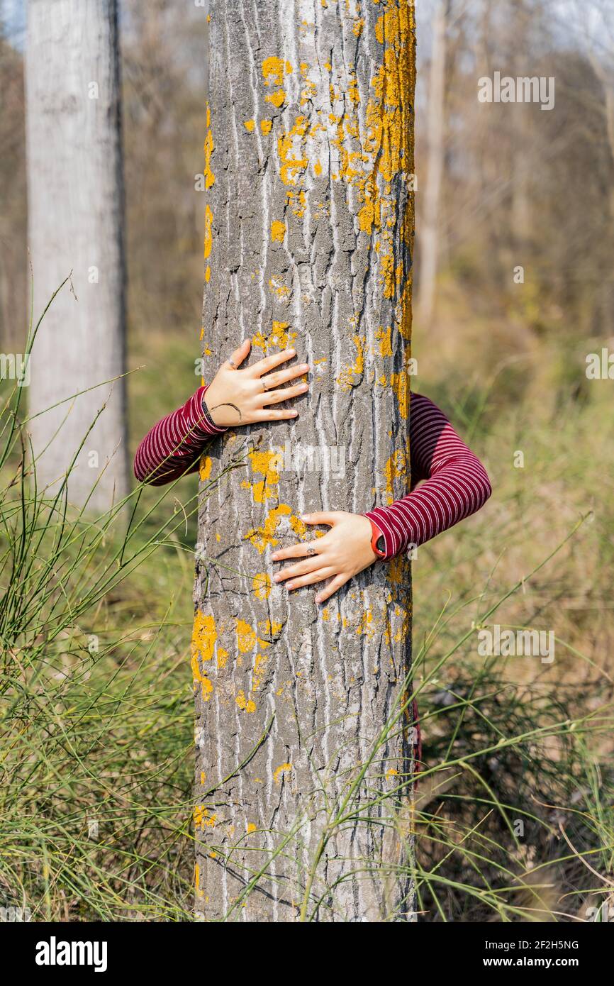A vertical shot of a woman hugging a tree in the woods on a sunny day ...