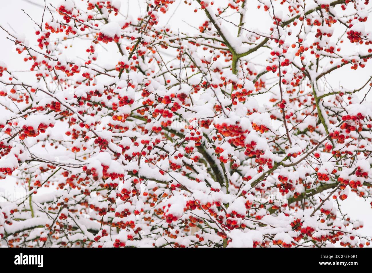 Ordinary one hi-res stock photography and images - Alamy