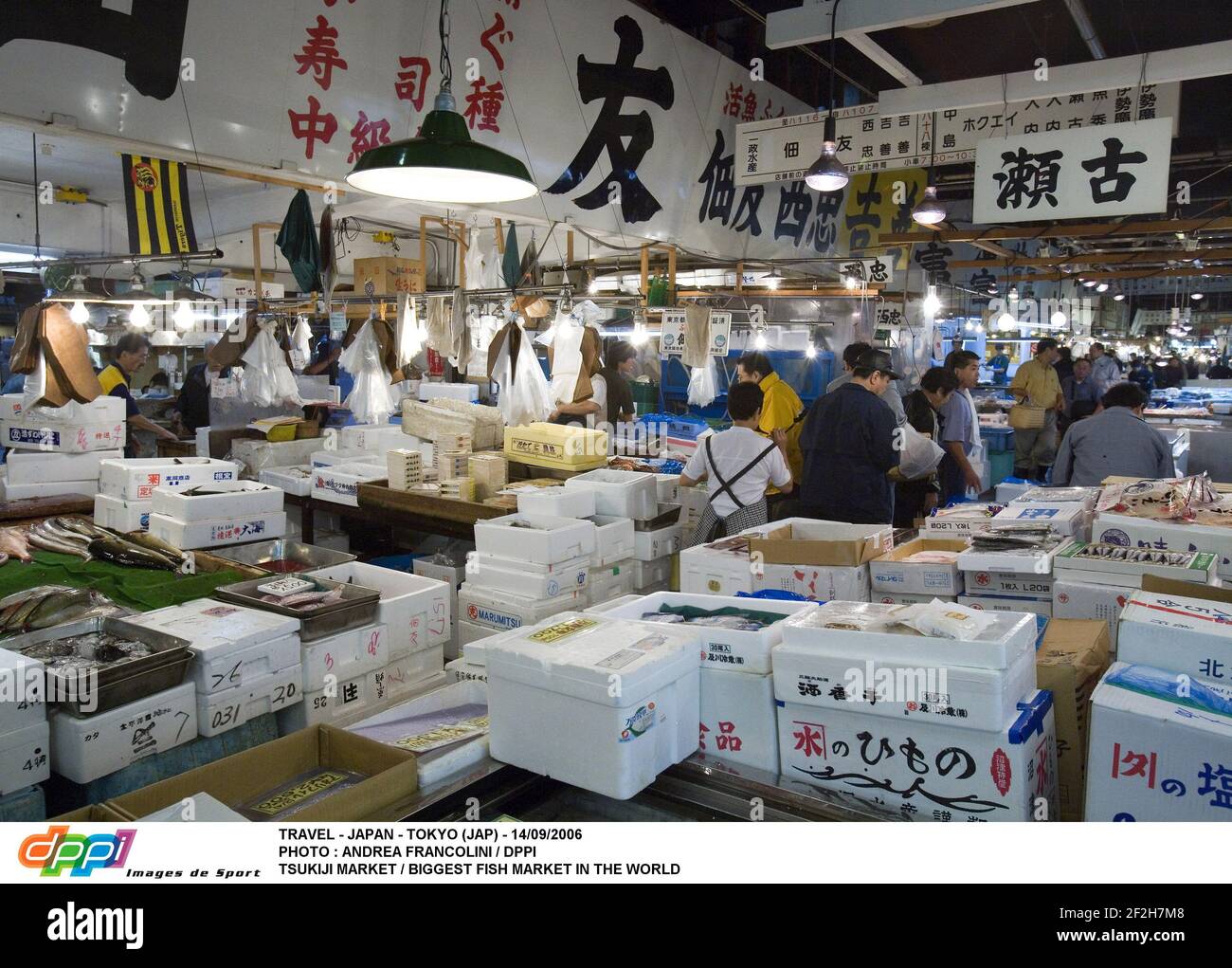 TRAVEL - JAPAN - TOKYO (JAP) - 14/09/2006 PHOTO : ANDREA FRANCOLINI ...