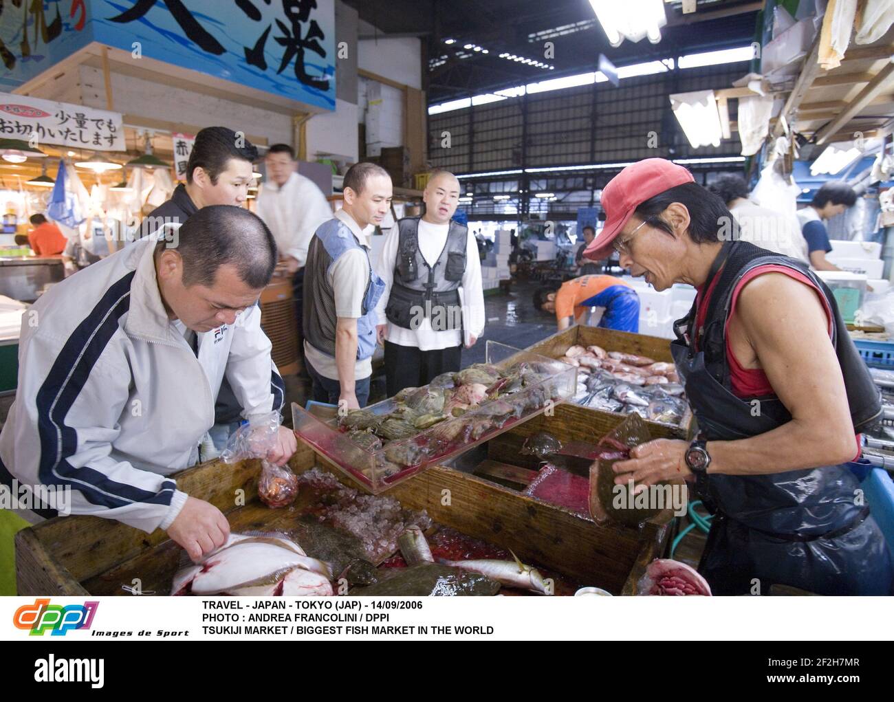 TRAVEL - JAPAN - TOKYO (JAP) - 14/09/2006 PHOTO : ANDREA FRANCOLINI ...