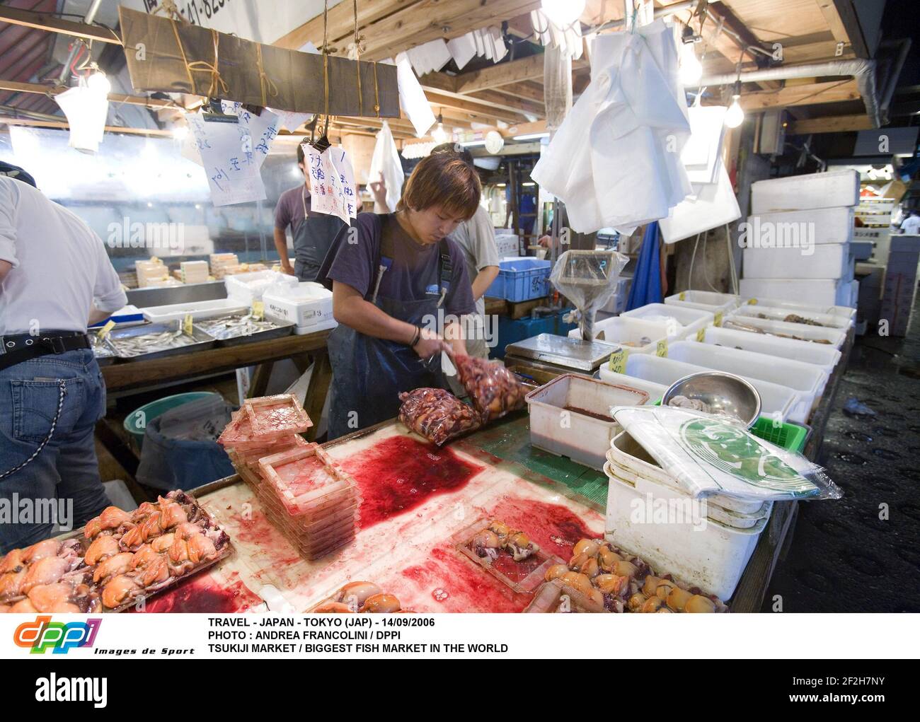 TRAVEL - JAPAN - TOKYO (JAP) - 14/09/2006 PHOTO : ANDREA FRANCOLINI ...