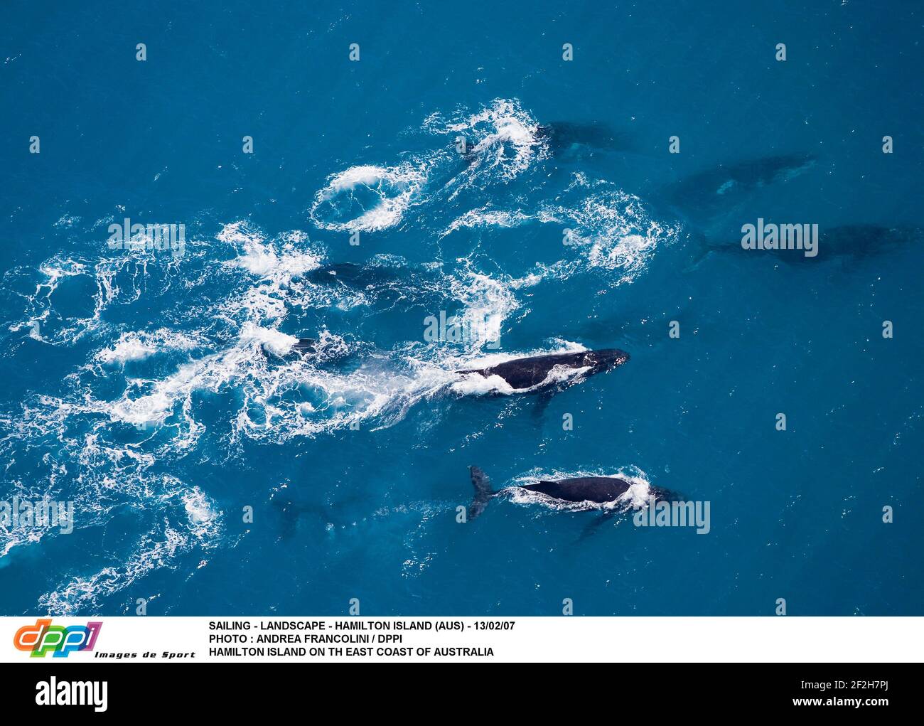 SAILING - LANDSCAPE - HAMILTON ISLAND (AUS) - 13/02/07 PHOTO : ANDREA ...