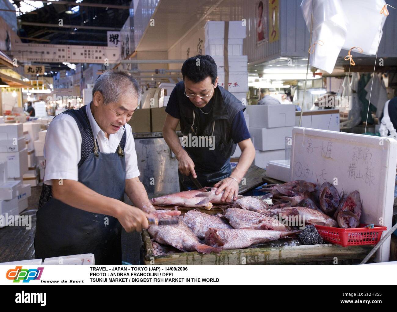 TRAVEL - JAPAN - TOKYO (JAP) - 14/09/2006 PHOTO : ANDREA FRANCOLINI ...