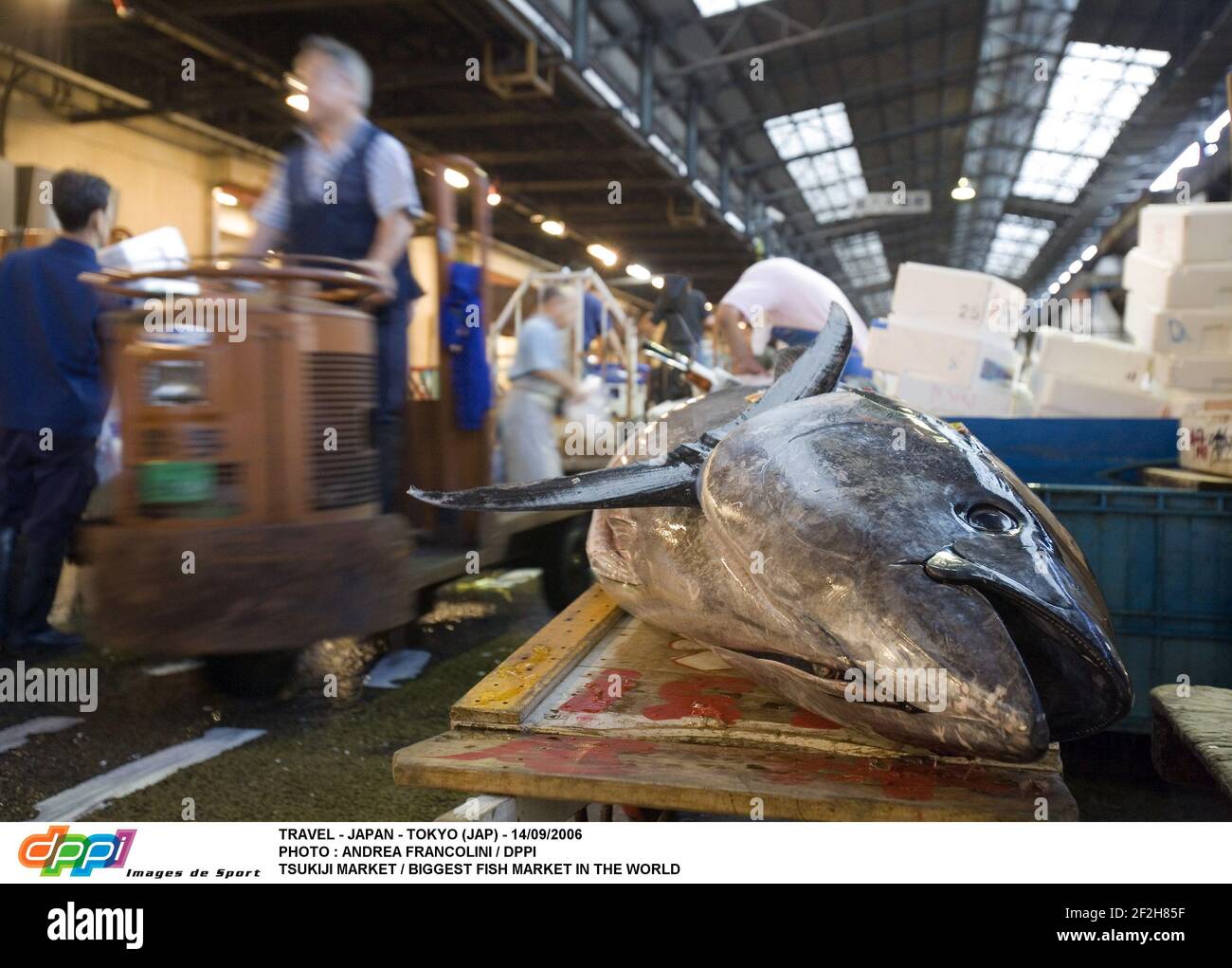 TRAVEL - JAPAN - TOKYO (JAP) - 14/09/2006 PHOTO : ANDREA FRANCOLINI ...