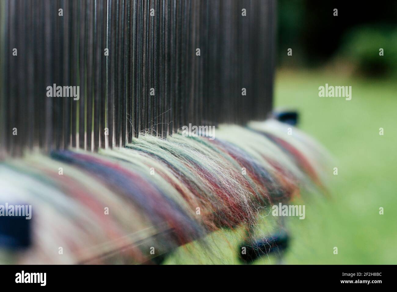 Card wool hi-res stock photography and images - Alamy