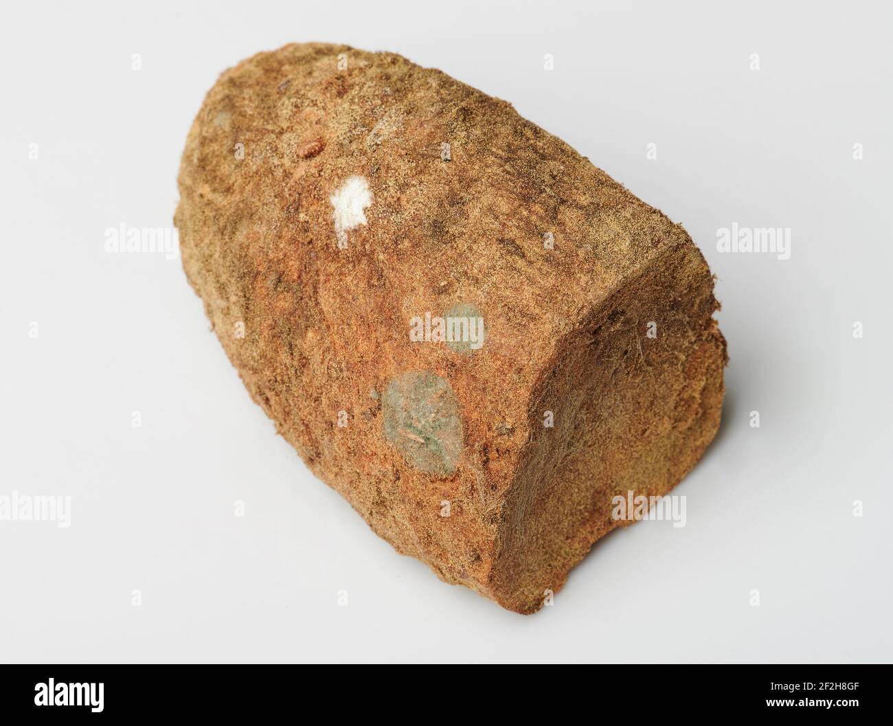 One piece of white bread with mould hi-res stock photography and images ...