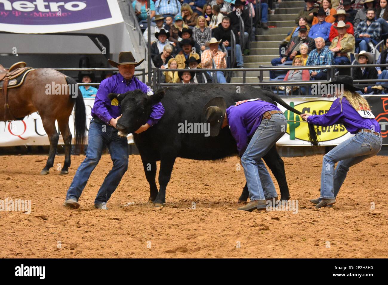 WRCA 23rd World Championship Ranch Rodeo, Amarillo, Texas, USA Stock ...