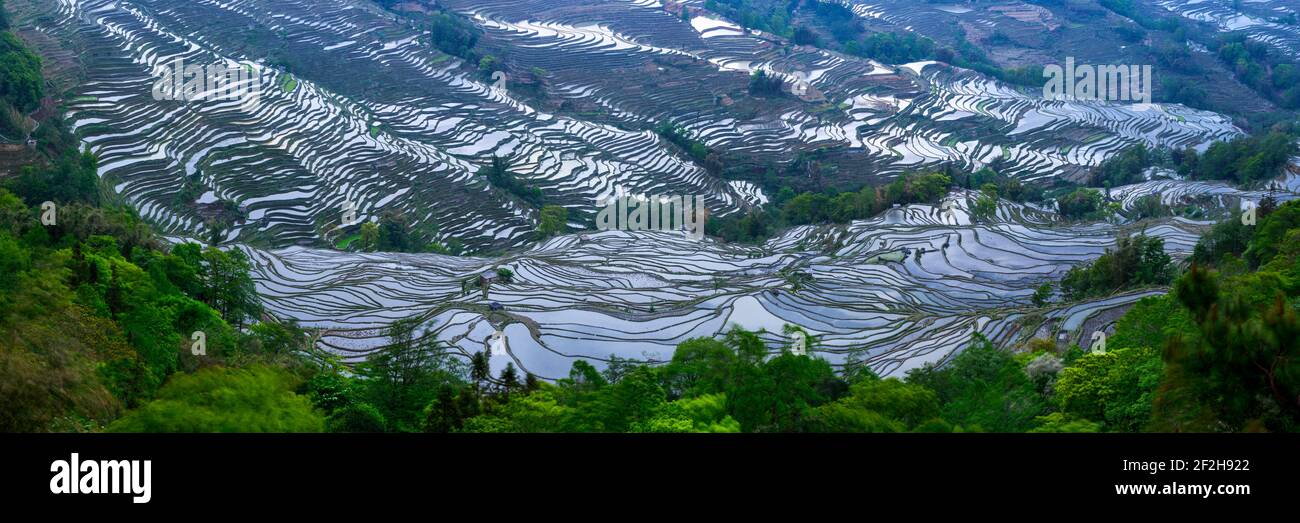 Bada rice terraces hi-res stock photography and images - Alamy