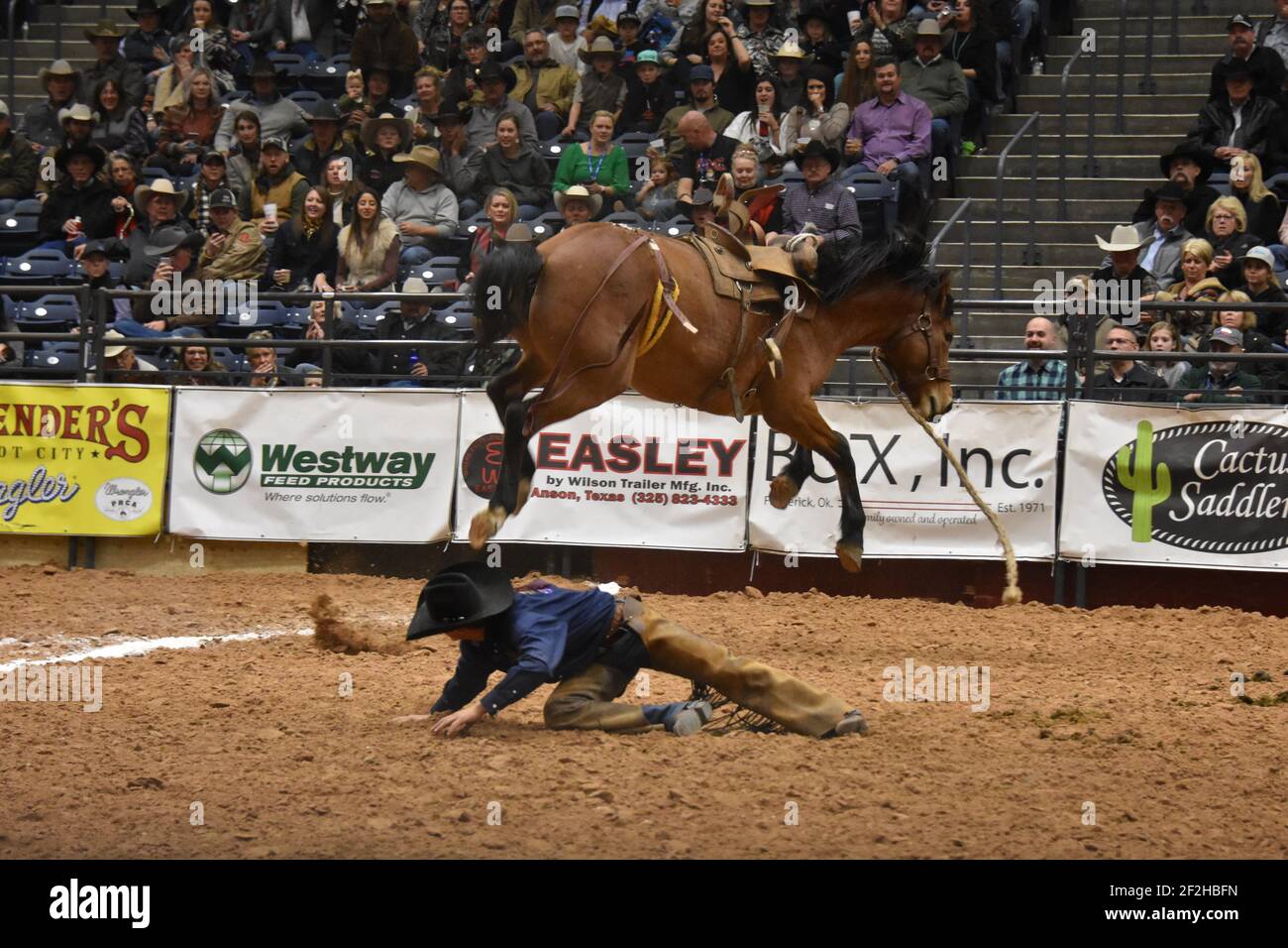 WRCA 23rd World Championship Ranch Rodeo, Amarillo, Texas Stock Photo ...
