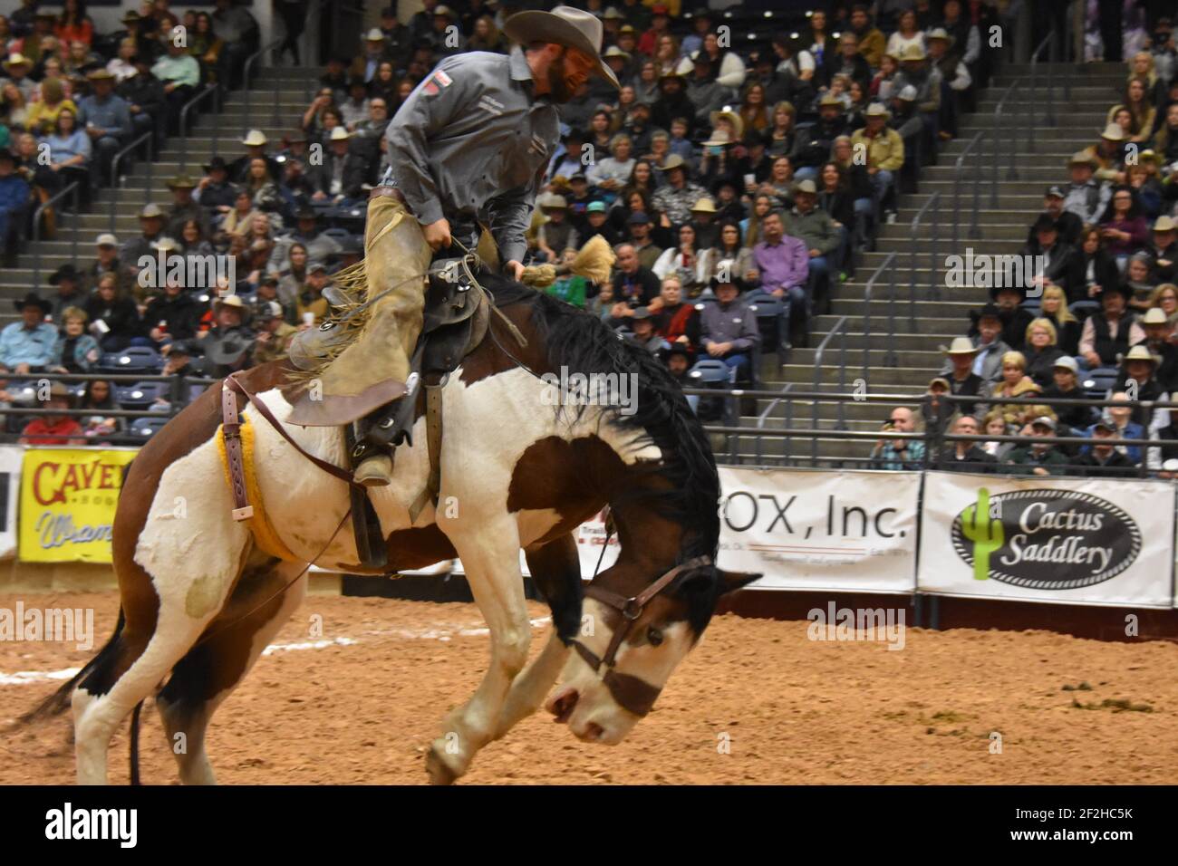 Rodeo Clown Occupation High Resolution Stock Photography and Images - Alamy