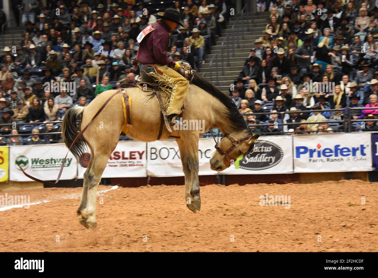 WRCA 23rd World Championship Ranch Rodeo, Amarillo, Texas Stock Photo ...