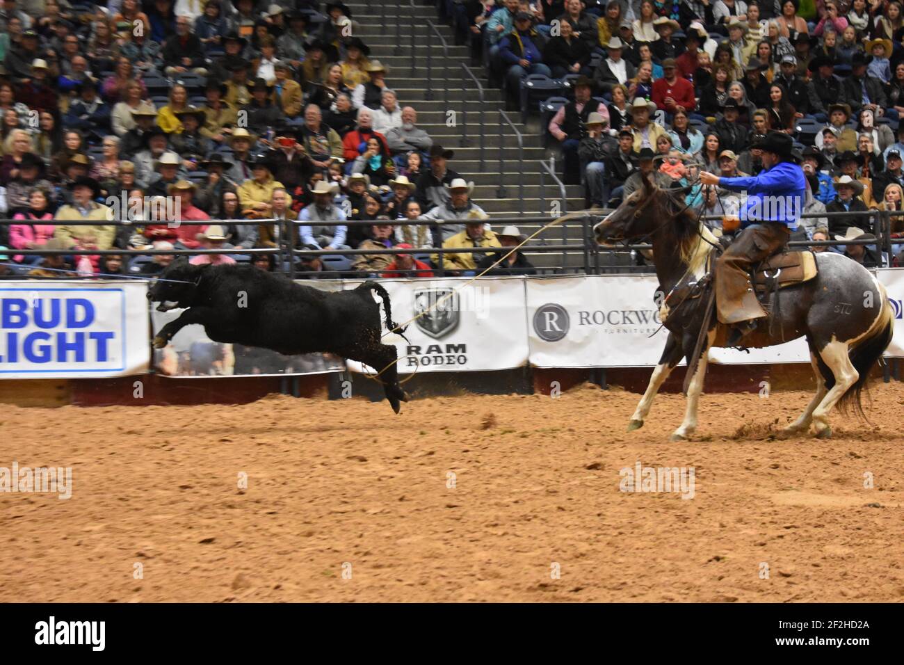Rodeo clown occupation hi-res stock photography and images - Alamy