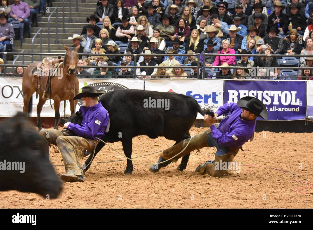 WRCA 23rd World Championship Ranch Rodeo, Amarillo, Texas Stock Photo ...