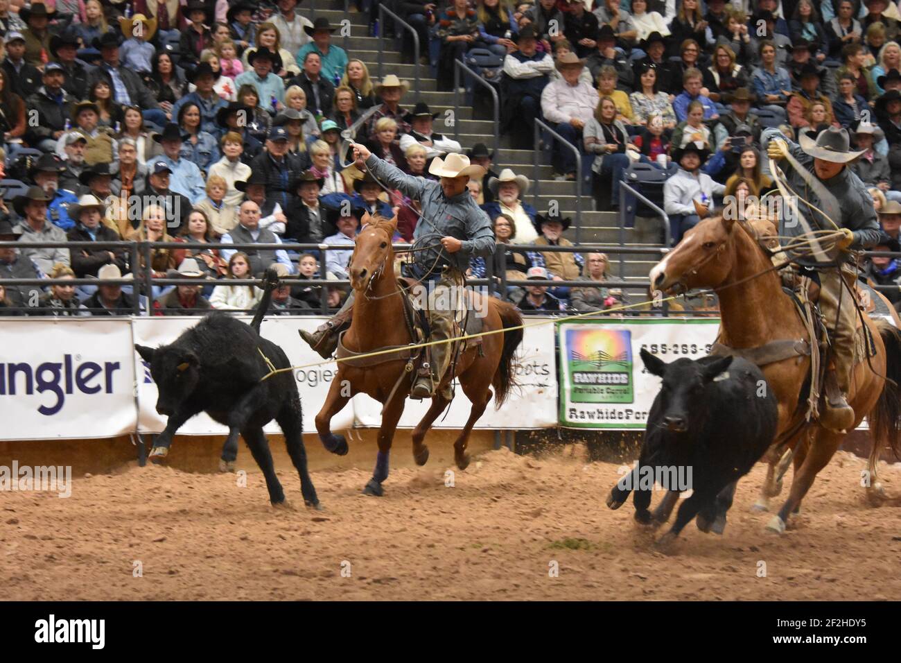 WRCA 23rd World Championship Ranch Rodeo, Amarillo, Texas Stock Photo ...