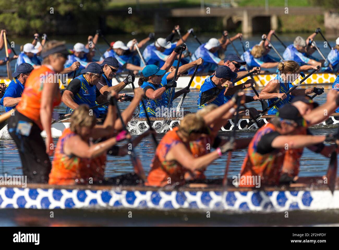 SAILING - DRAGON BOATS - AUSTRALIAN DRAGON BOAT CHAMPIONSHIPS 2013 ...
