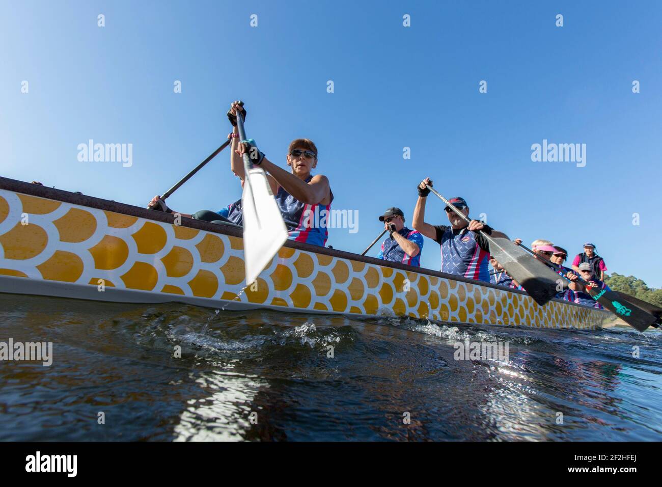 SAILING - DRAGON BOATS - AUSTRALIAN DRAGON BOAT CHAMPIONSHIPS 2013 ...