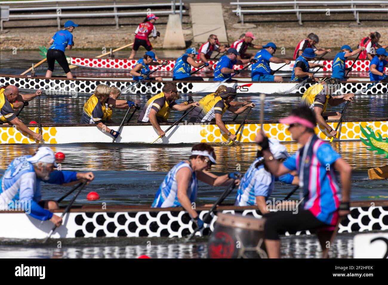 SAILING - DRAGON BOATS - AUSTRALIAN DRAGON BOAT CHAMPIONSHIPS 2013 ...