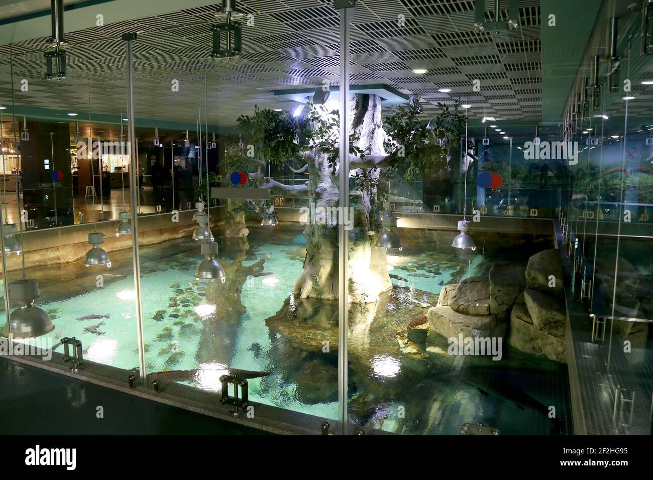 VDNKh Moskvarium - the biggest in Europe sea aquarium and entertainment ...