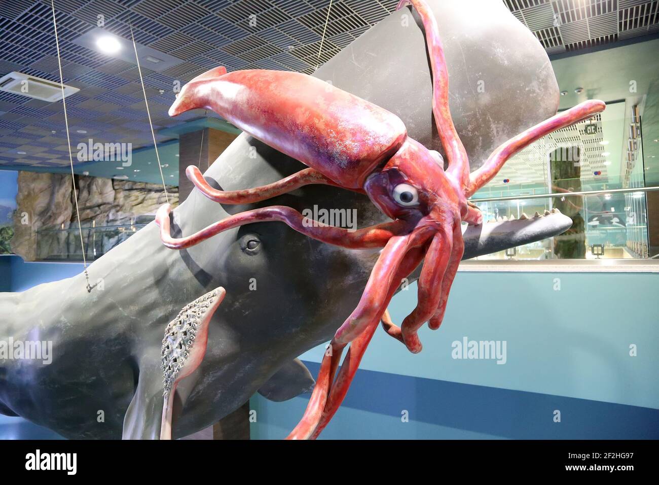 VDNKh Moskvarium - the biggest in Europe sea aquarium and entertainment ...