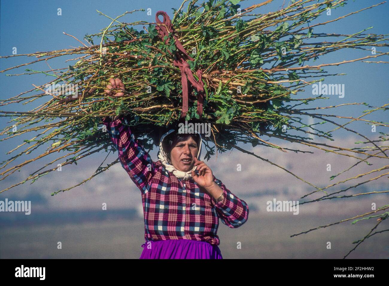 Large bundle hi-res stock photography and images - Alamy