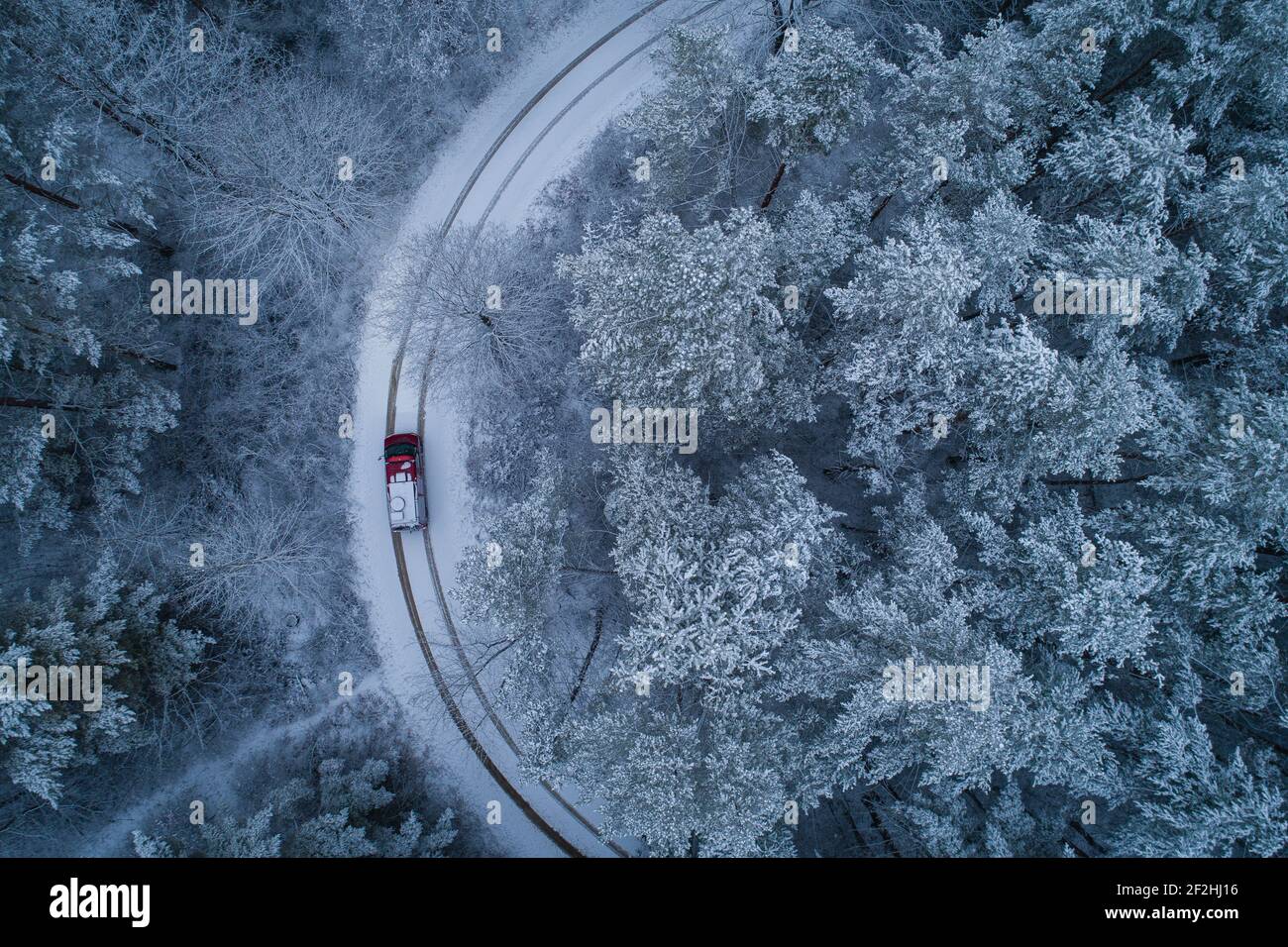 Drones eye view forest from hi-res stock photography and images - Alamy