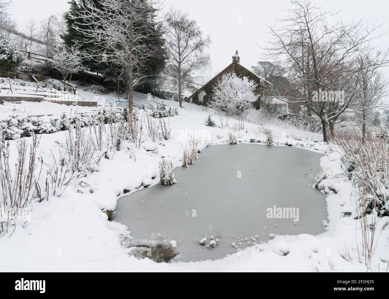 Frozen garden pond hi-res stock photography and images - Alamy
