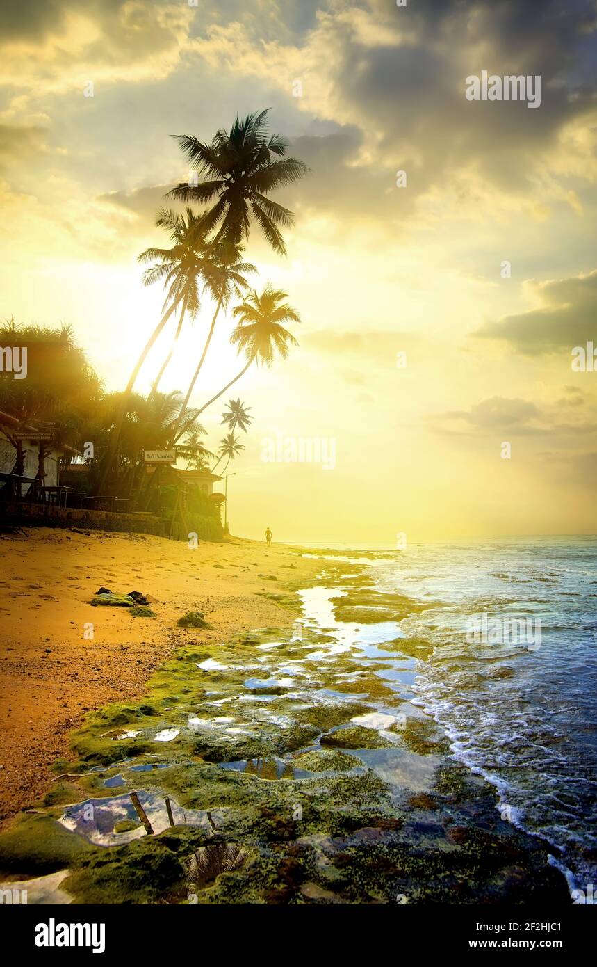 Summer nature exotic bay beach hi-res stock photography and images - Alamy