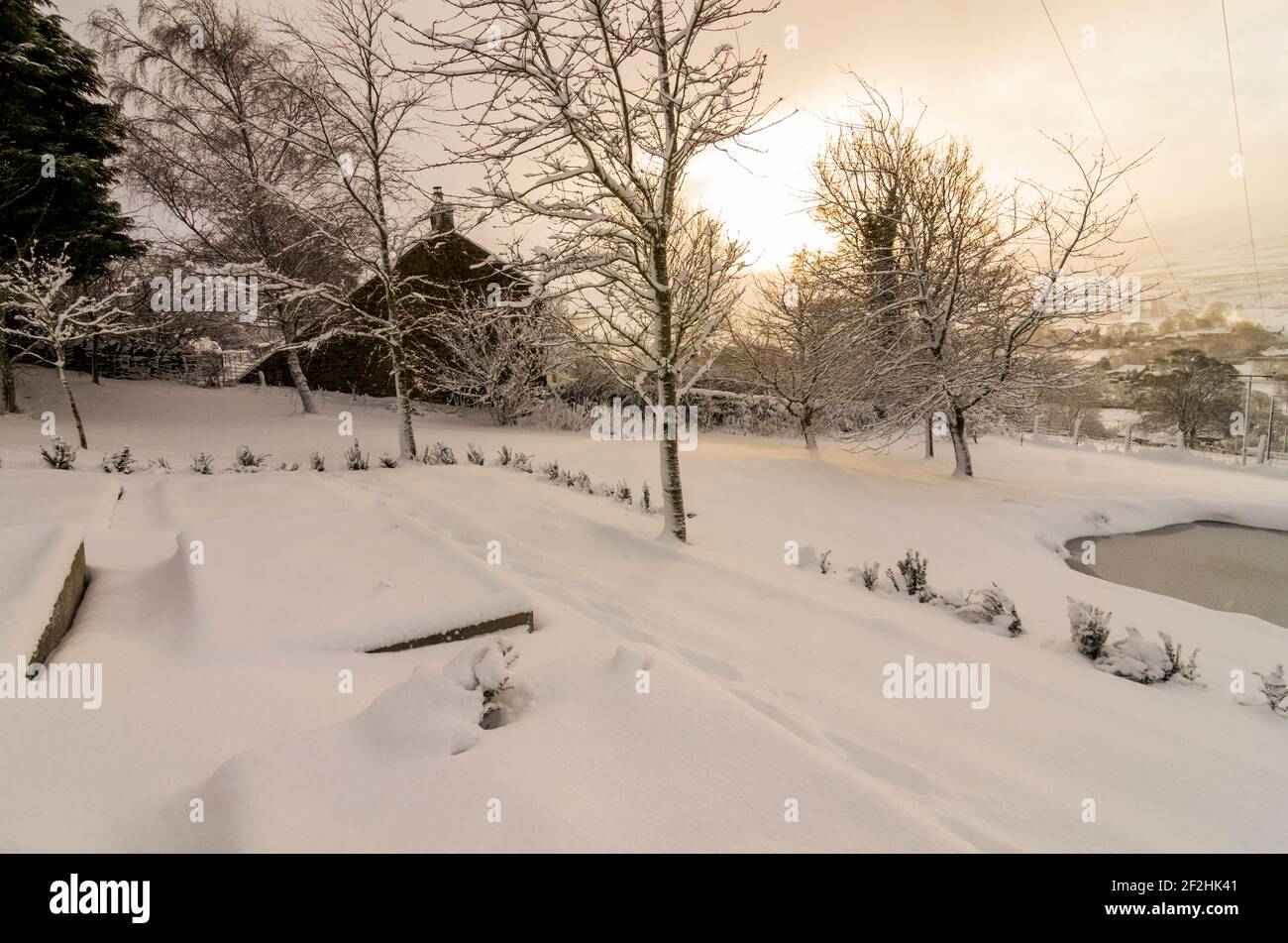 A snow covered garden at sunrise. The pond is frozen over. Weardale ...