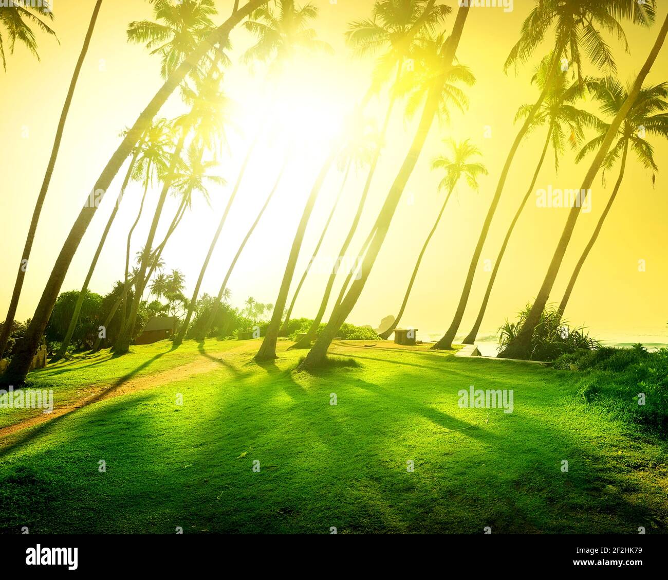 Bright sun over green field on the beach of ocean Stock Photo - Alamy