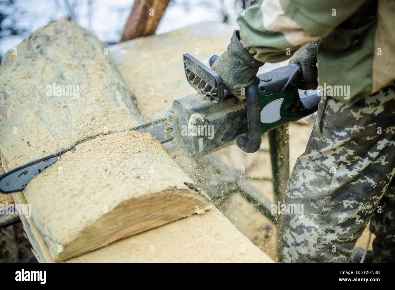 The man in working clothes sawing thick tree trunk bark. Male wood ...