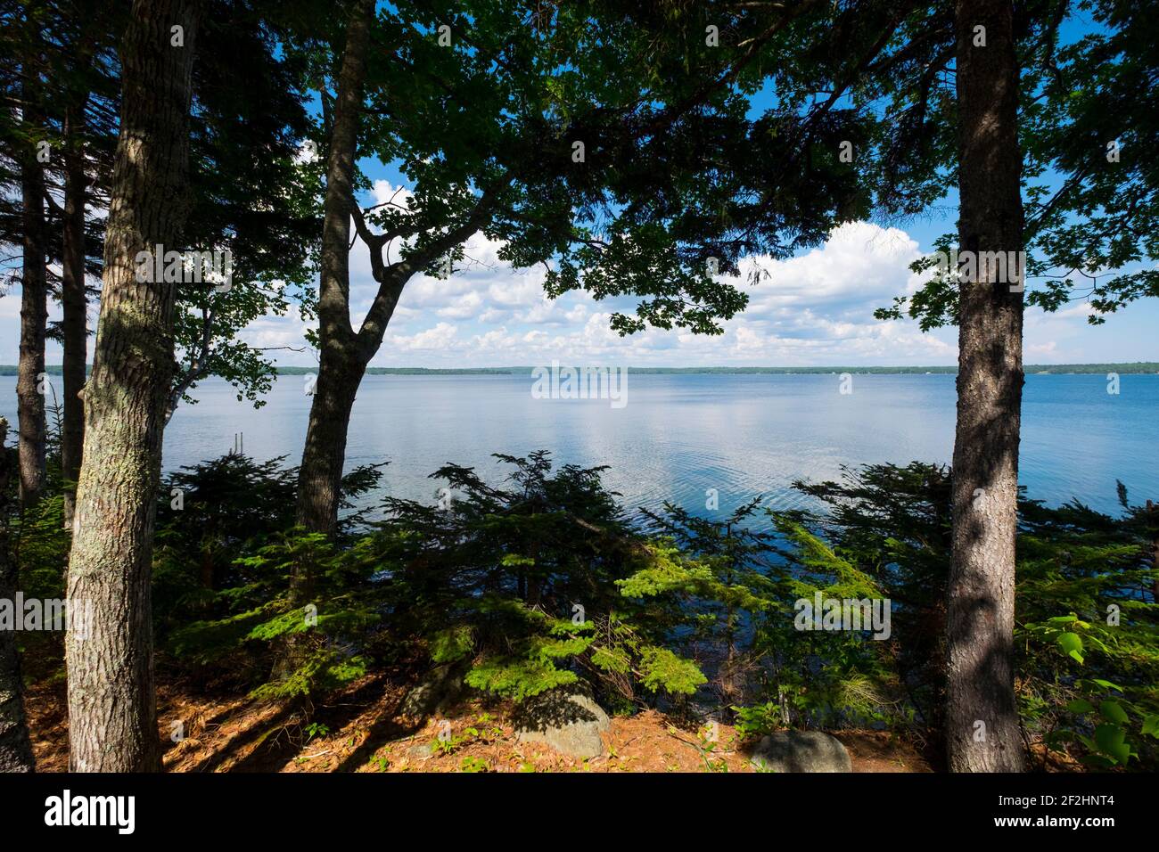 The stunning water view of Union River Bay from a waterside deck. In ...