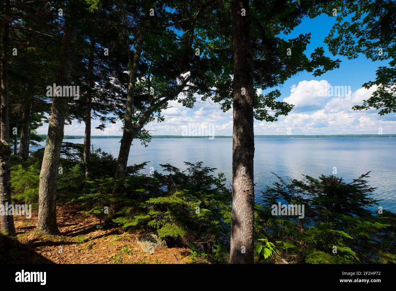 Vista view landscape timeless hi-res stock photography and images - Alamy