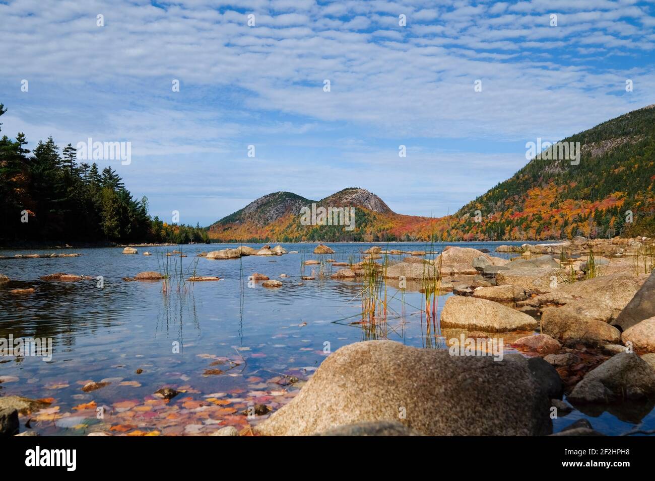 View of The Bubbles, Jordan Pond during autumn, fall color, leaves ...