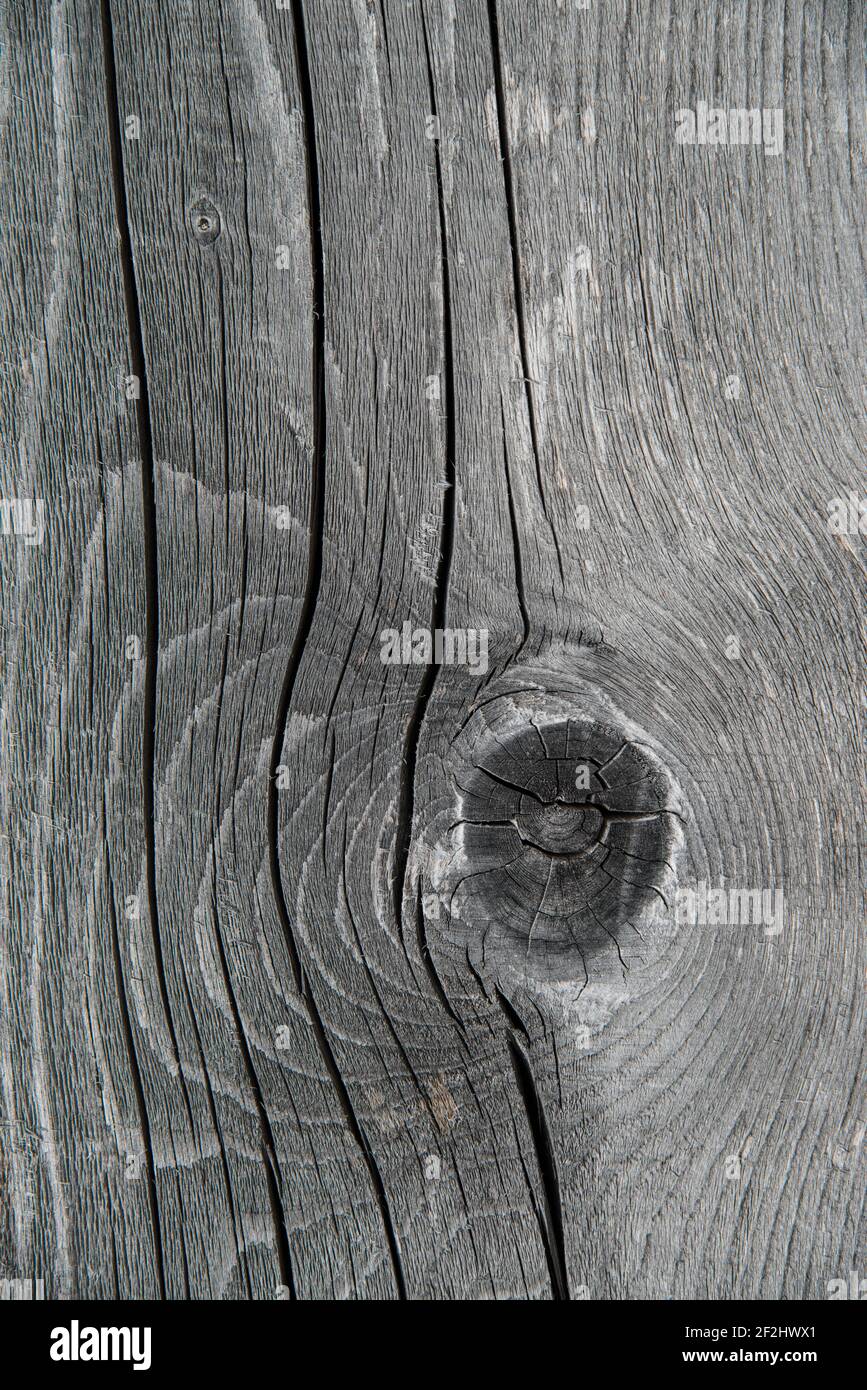 Faded wooden surface with knotholes and cracks Stock Photo - Alamy