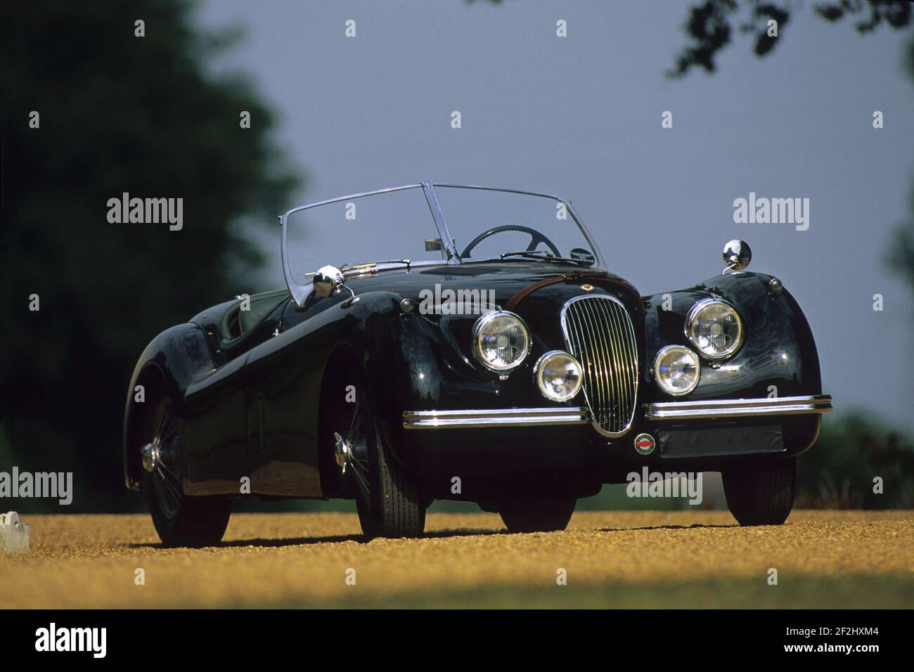 MOTORSPORT - CARS LEGEND - PHOTO : CHRISTIAN BEDEI / DPPIJAGUAR XK120 ...