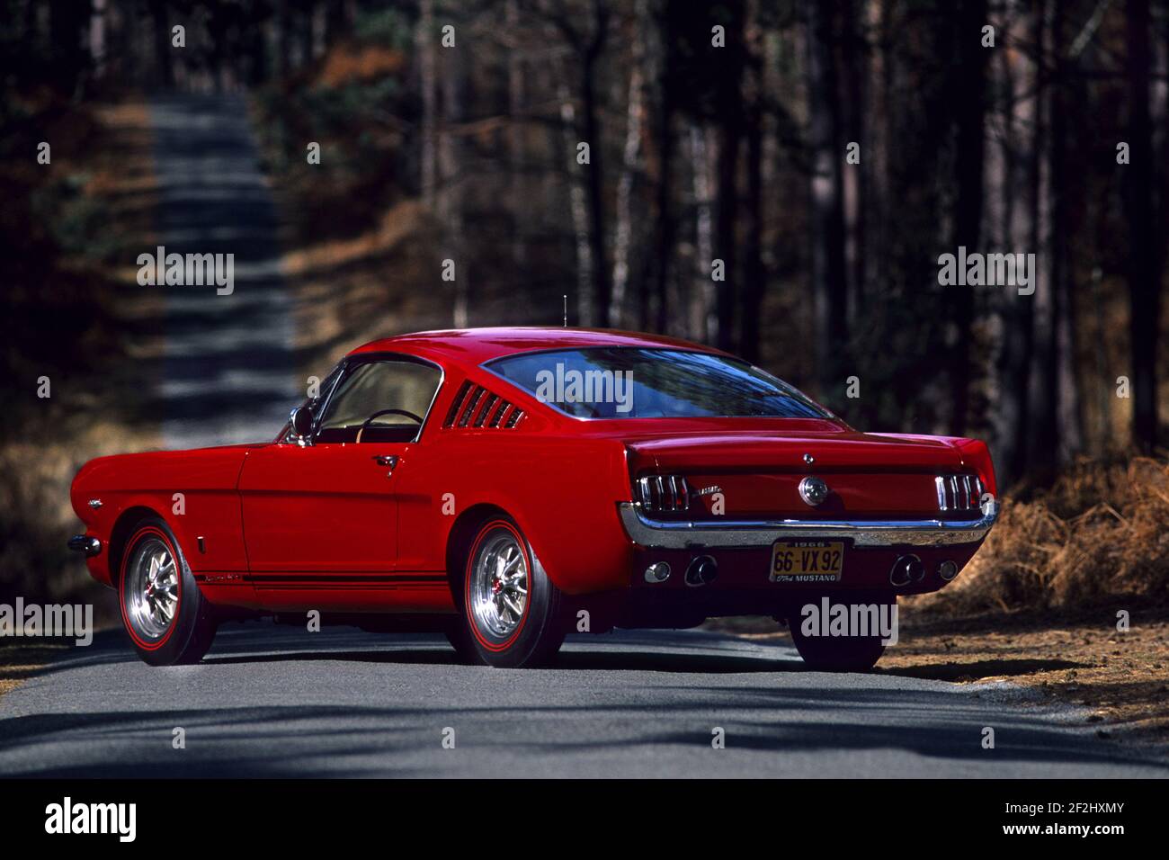 MOTORSPORT - CARS LEGEND - PHOTO : CHRISTIAN BEDEI / DPPIFORD MUSTANG ...