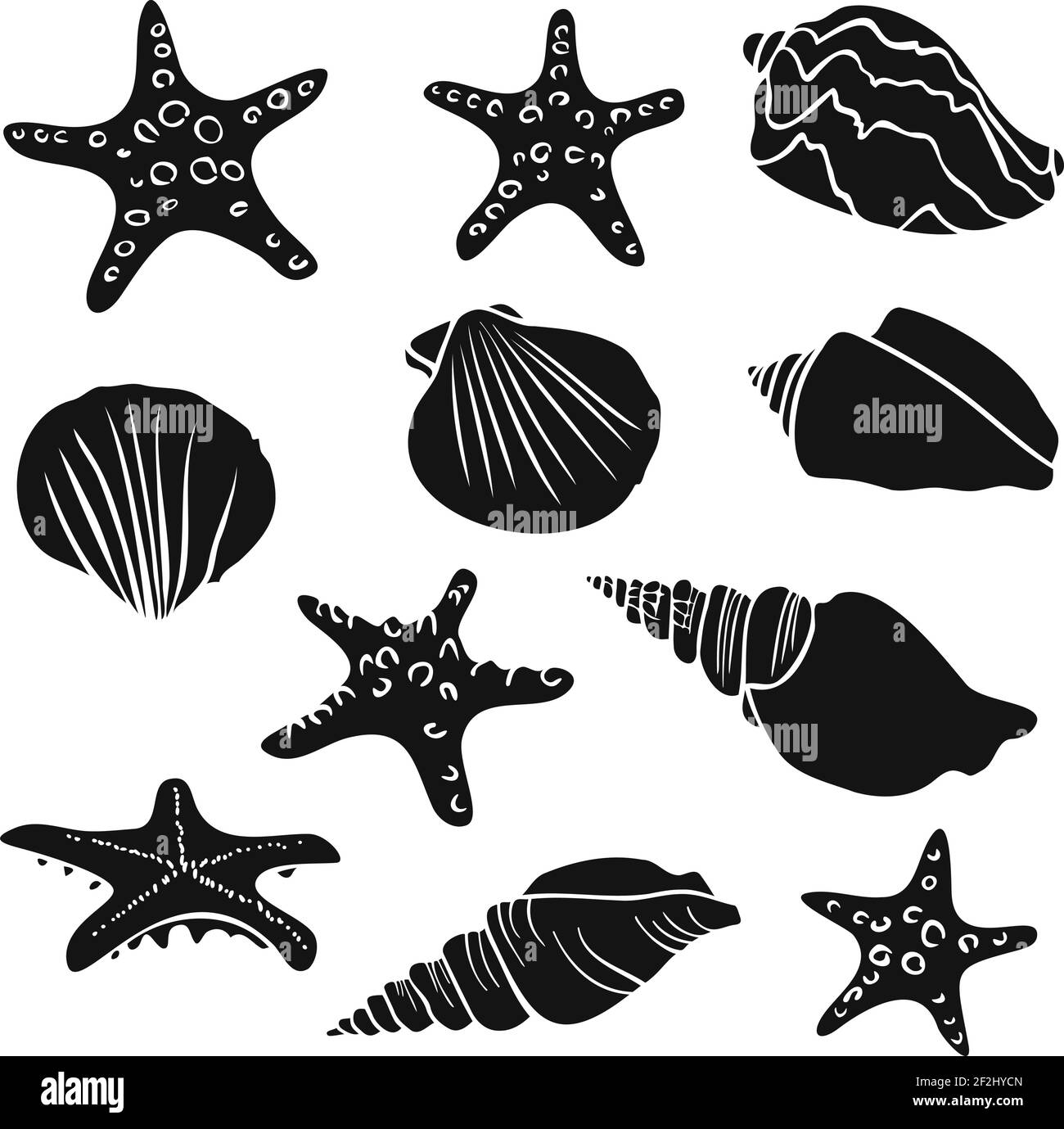 Starfish vector vectors hi-res stock photography and images - Alamy