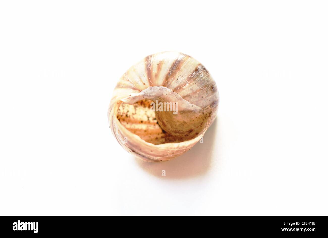 Death spiral Cut Out Stock Images & Pictures - Alamy