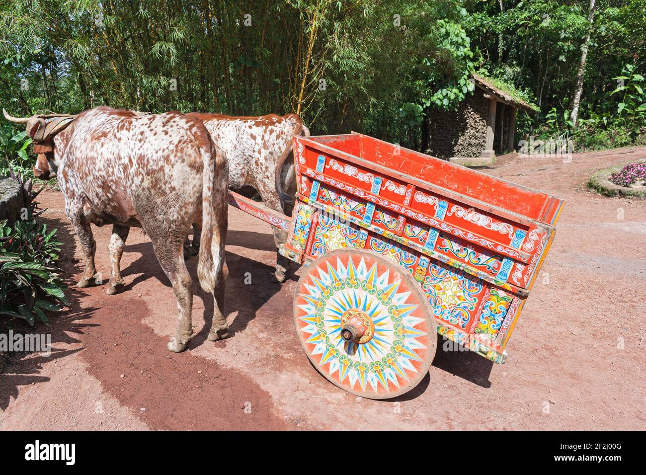 Decorative ox-cart, Costa Rica, Central America Stock Photo - Alamy