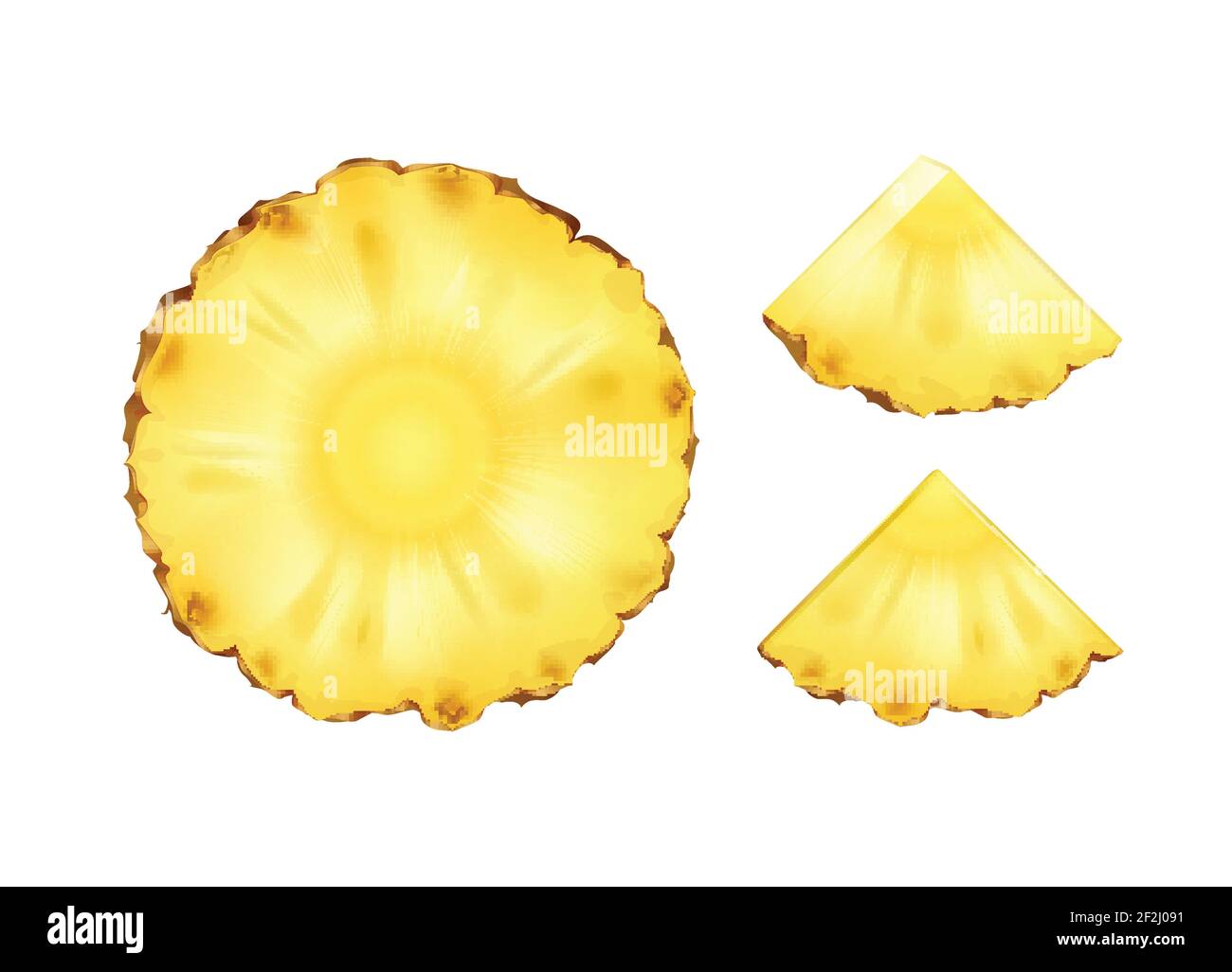 Vector pineapple round and triangular slices or wedges isolated on ...