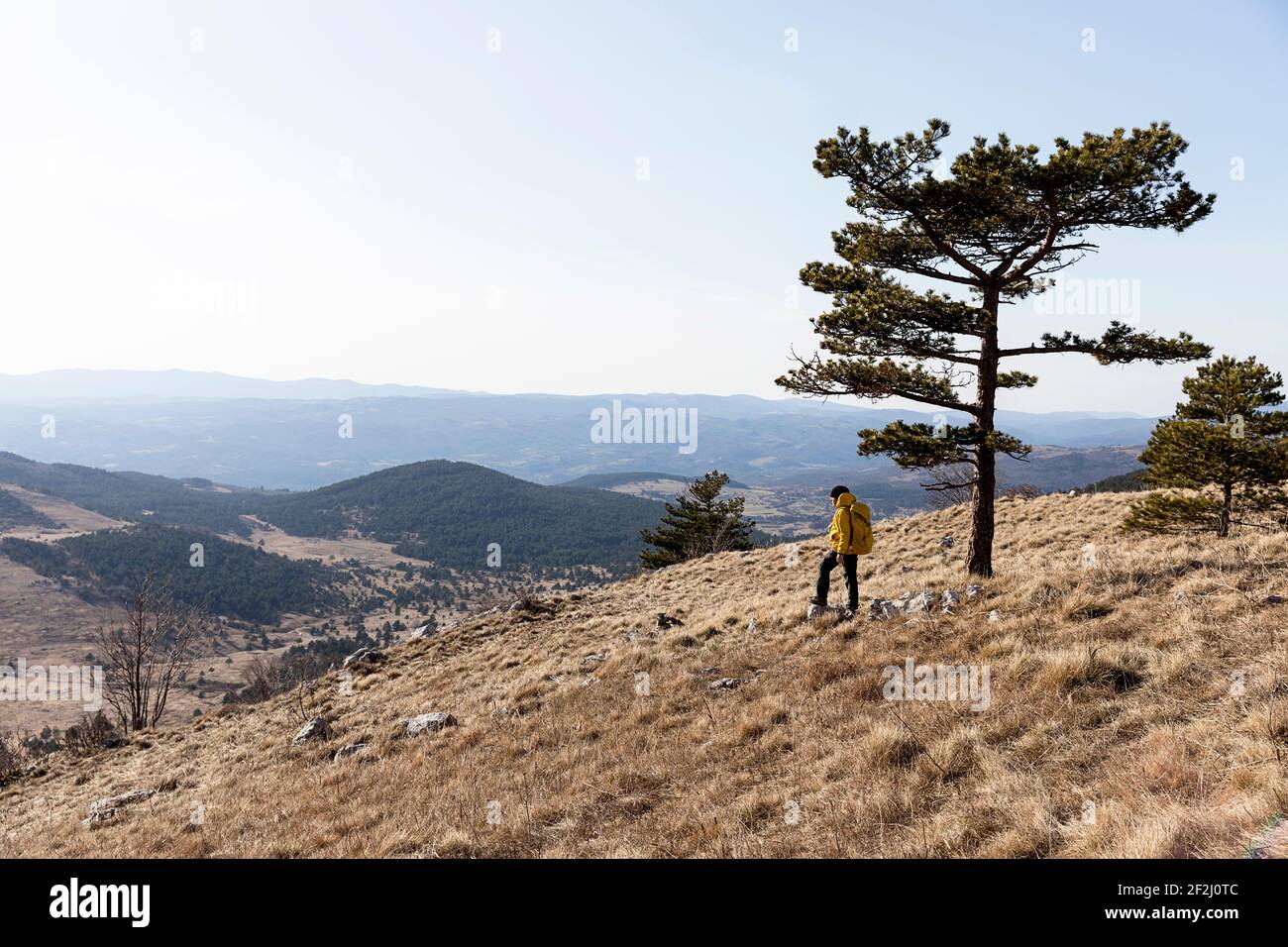 Boy standing under tree hi-res stock photography and images - Alamy