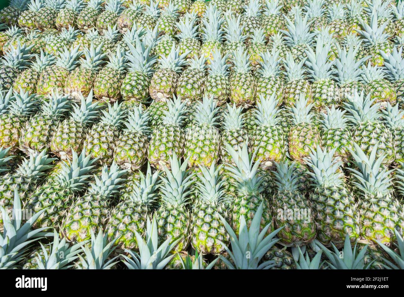 Central container hi-res stock photography and images - Alamy