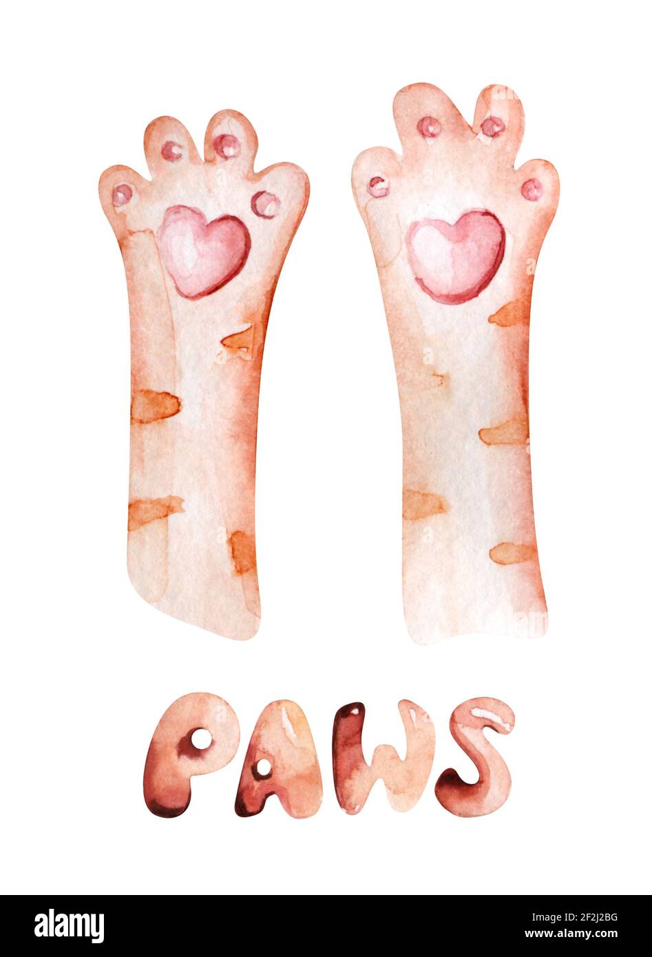 Wash your hand kids poster watercolor illustration with cat paws. hand ...