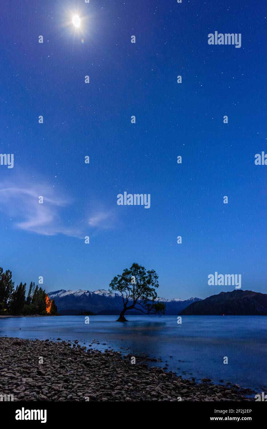Alone tree in lake hi-res stock photography and images - Alamy