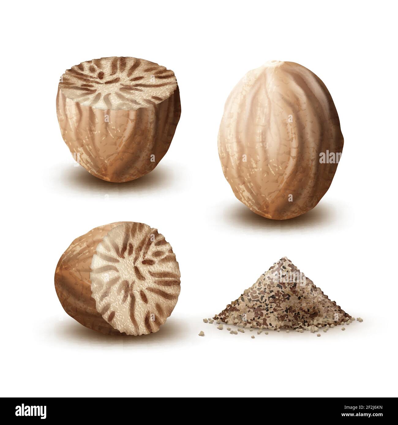 Vector set of whole and cut nutmegs close up side view isolated on ...