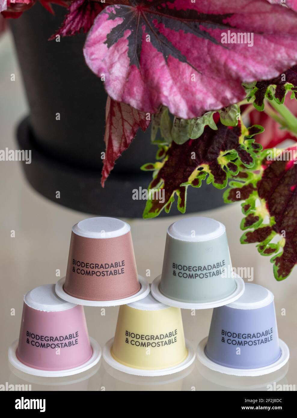 Biodegradable coffee capsules hi-res stock photography and images - Alamy