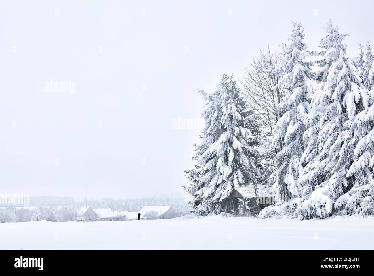 Winter, tree, firs, Stadl, wooden hut, snow, winter scenery, elbow ...